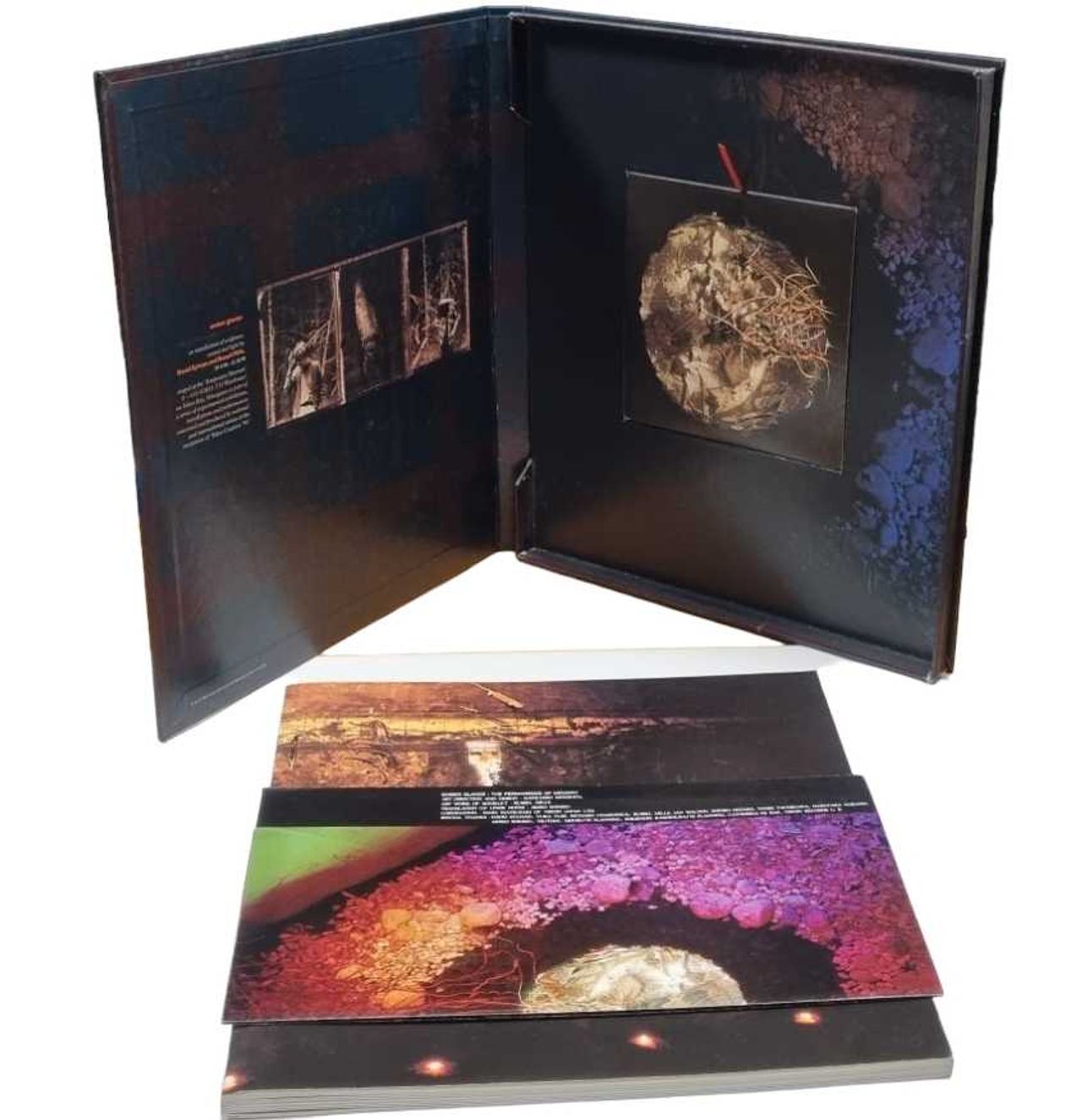 David Sylvian Ember Glance Japanese Box set — RareVinyl.com